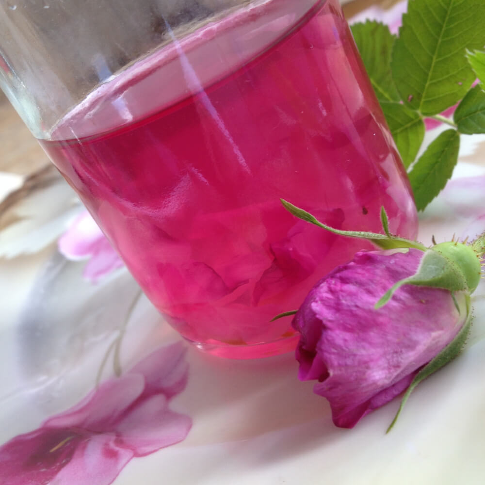 Sirop de roses (cuisine de sorcière 2), glace à la rose & sirop de ...
