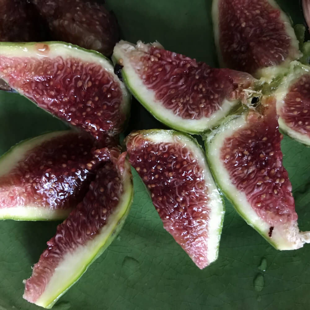 Dimanche 23 août 2020 - Journal de ce que je mange