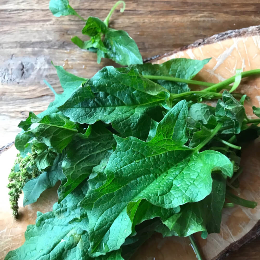 Jeudi 23 juin 2022 - Journal de ce que je mange